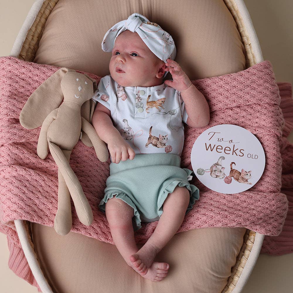 Kittens & Pebble Reversible Milestone Cards | My Snug Bug | Milestone Cards