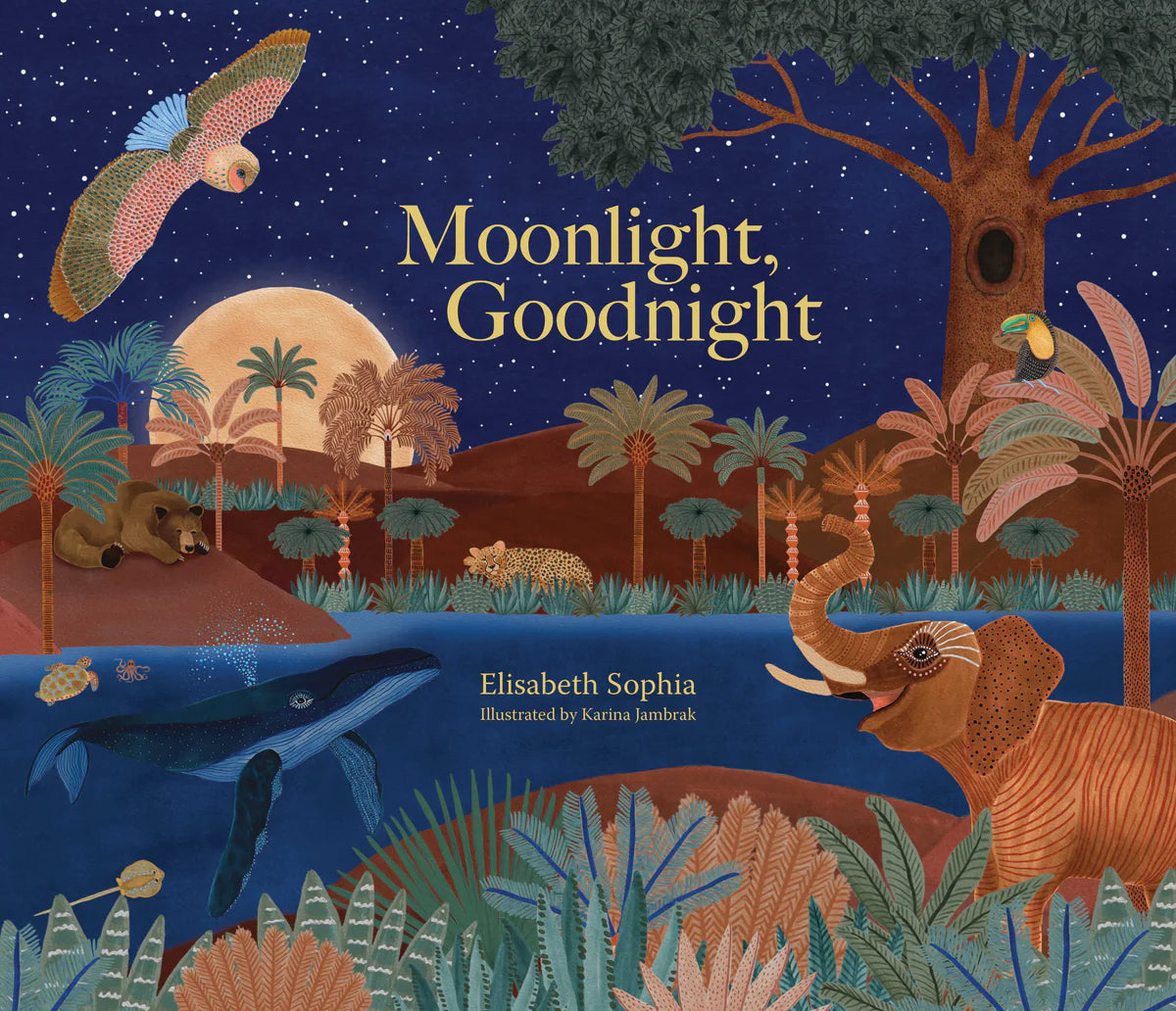 Moonlight Goodnight | My Snug Bug | Book